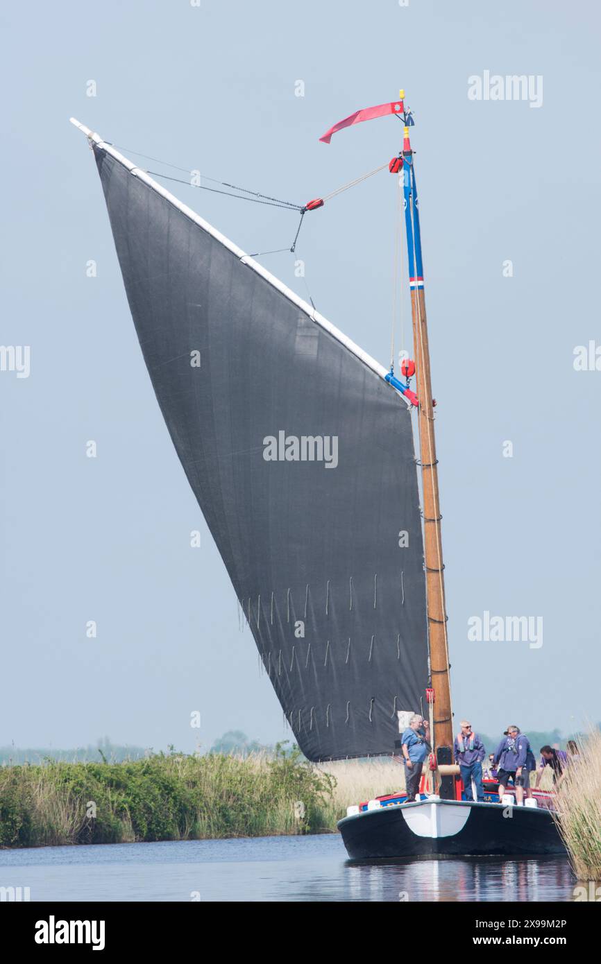 people sailing a traditional wherry sailing boat on the River Bure ...