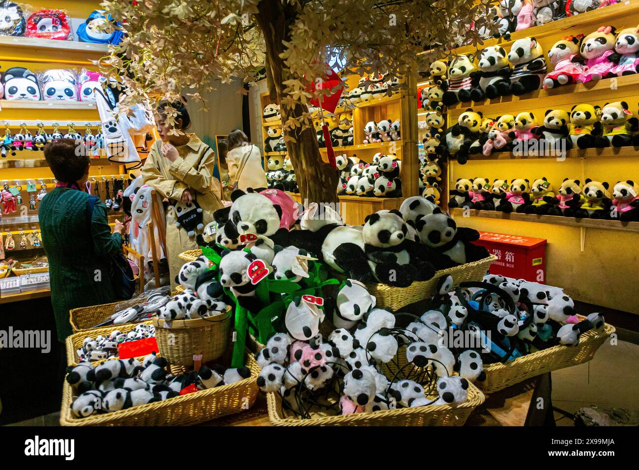 Chengdu, China, Sichuan, Chinese Tourists Visiting Old Town Historic Center, SHopping in Panda ...