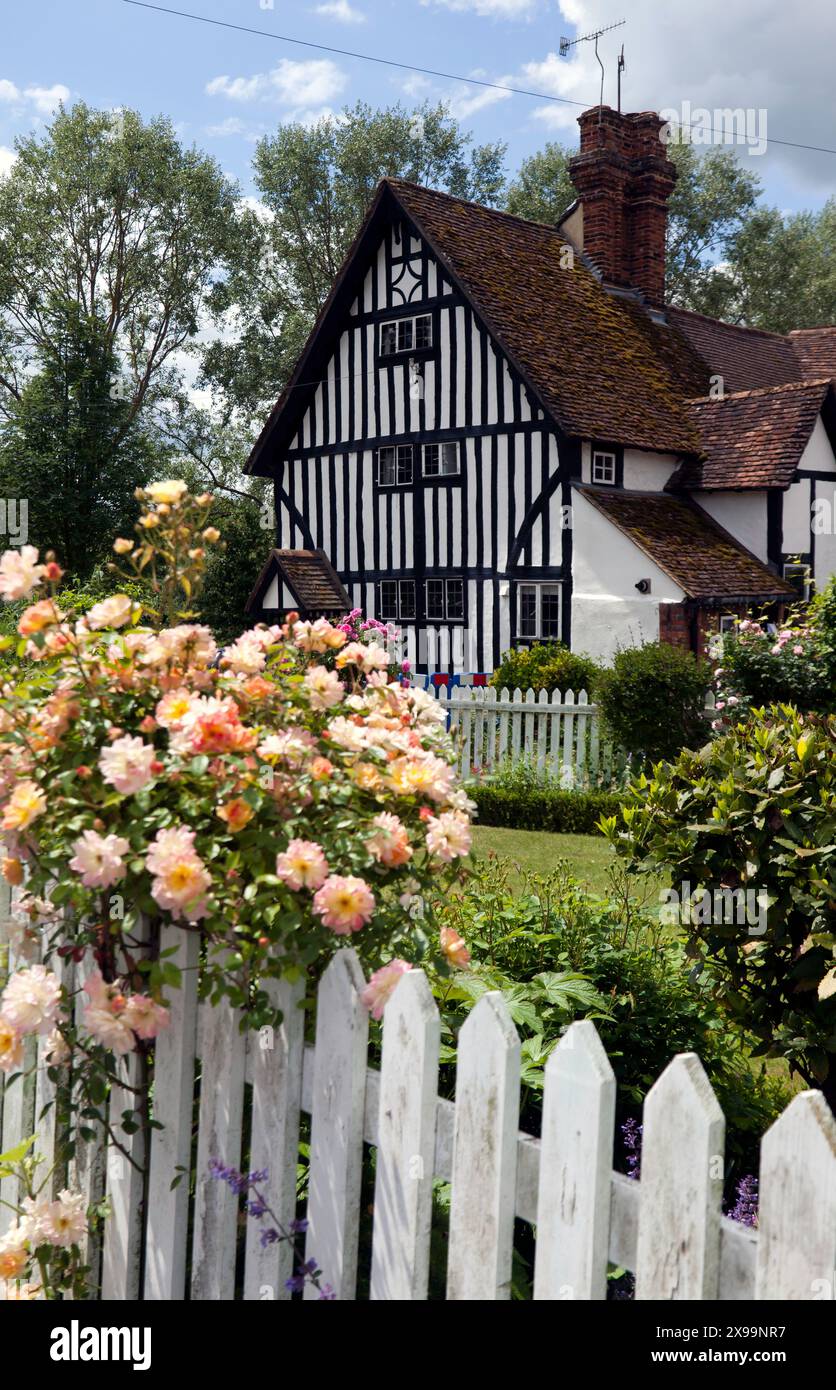 Roses blooming in the garden of the Tudor Cottage, 20 Riverside ...