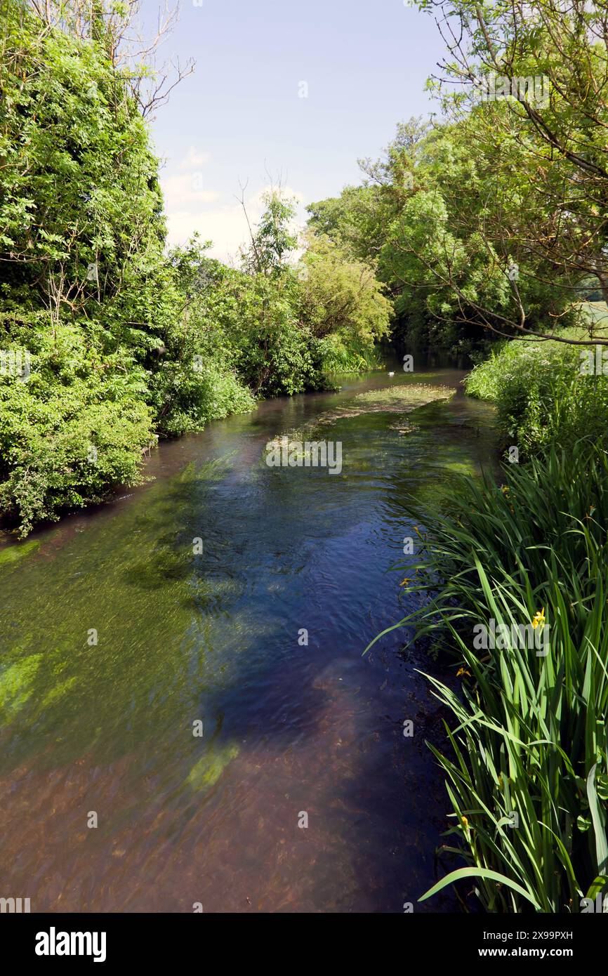 View of the River Darent, Eynsford, Kent Stock Photo - Alamy