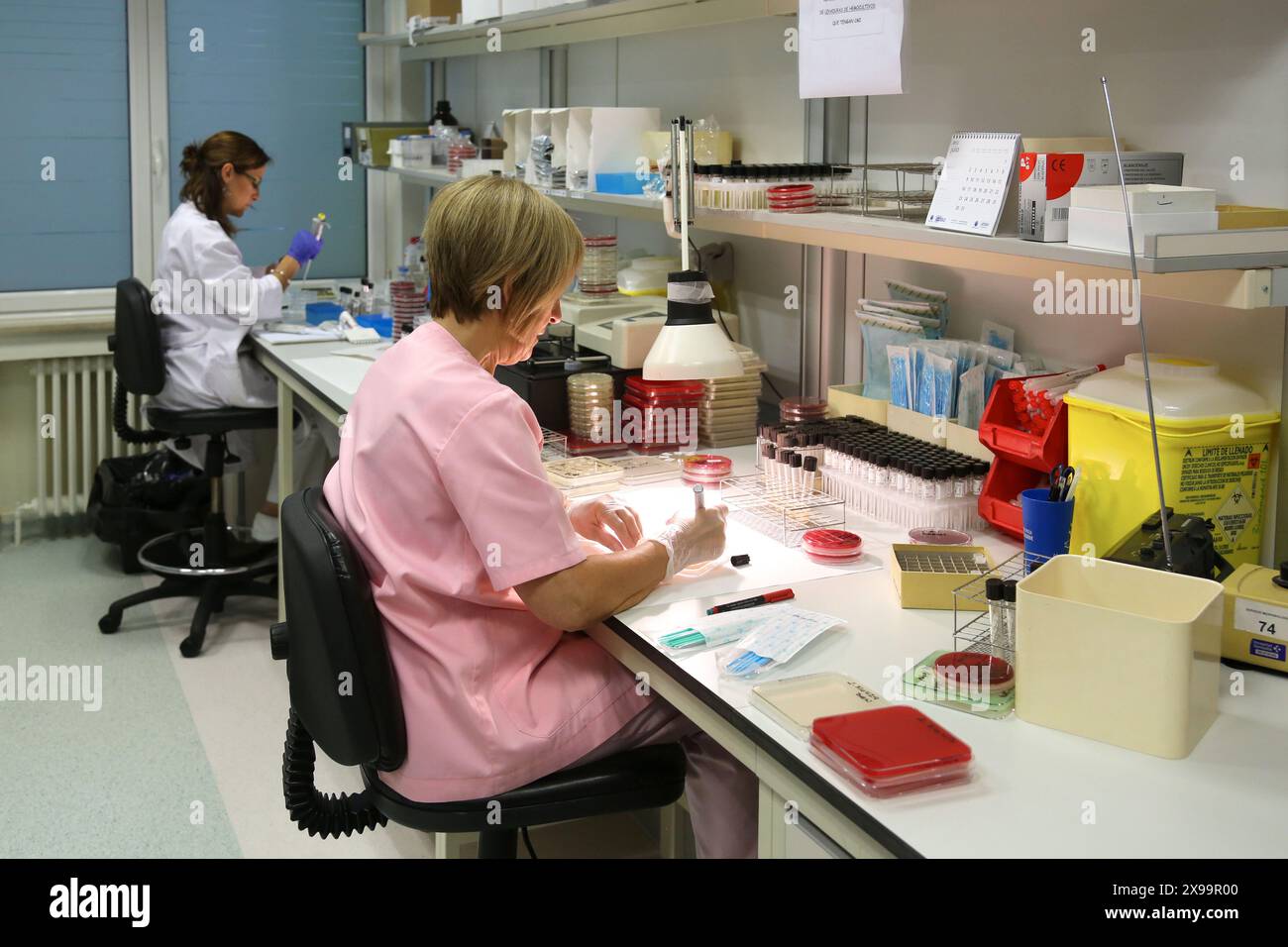 Antibiogram, Antibiotic Sensitivity Test, Microbiology Department ...