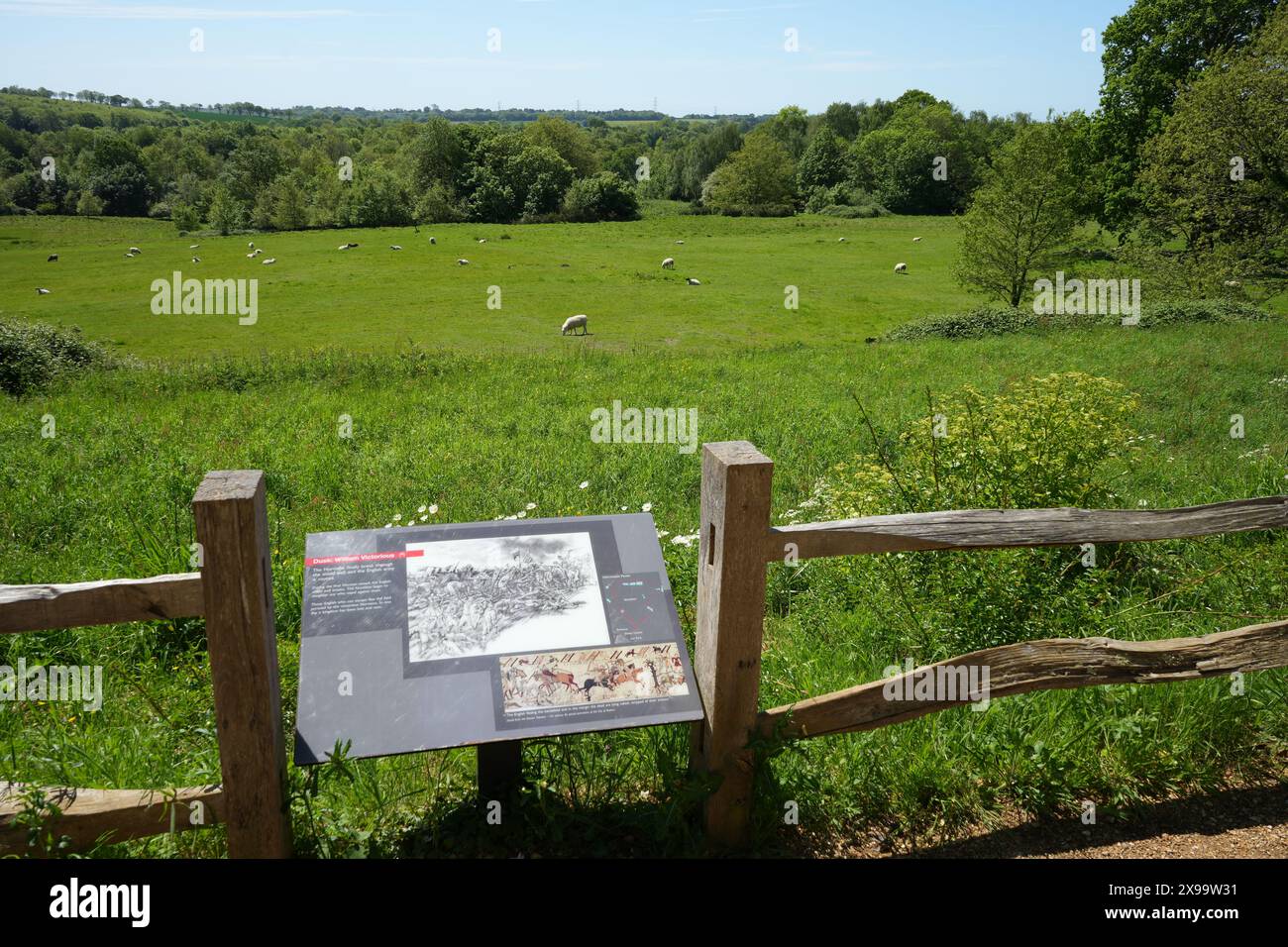 A view of The Battle of Hastings battlefield with information board ...