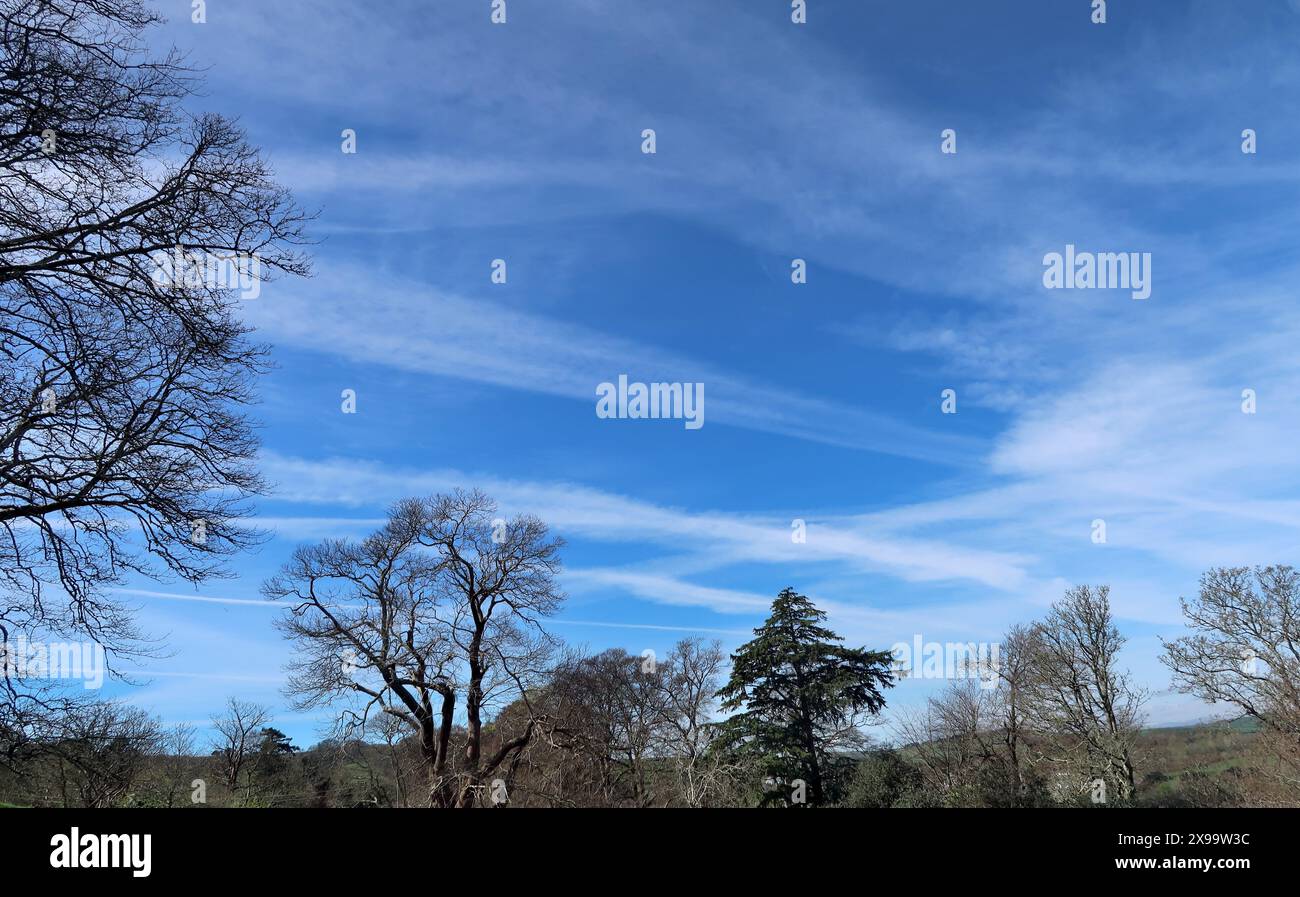 Clouds and aircraft vapour trails (contrails) in blue sky Stock Photo ...