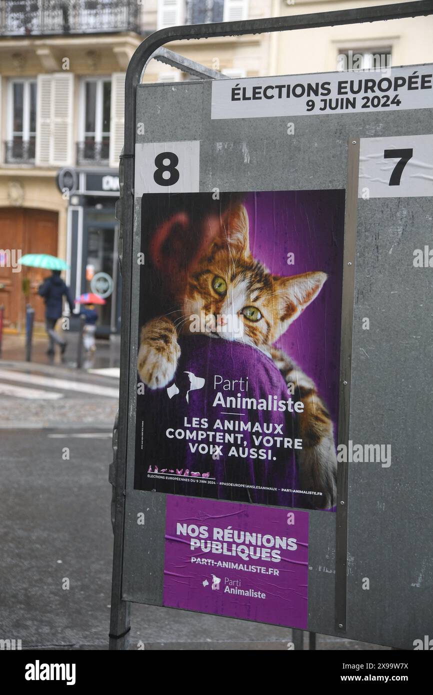 A cat features in a Parti Animaliste for the European election’s poster ...