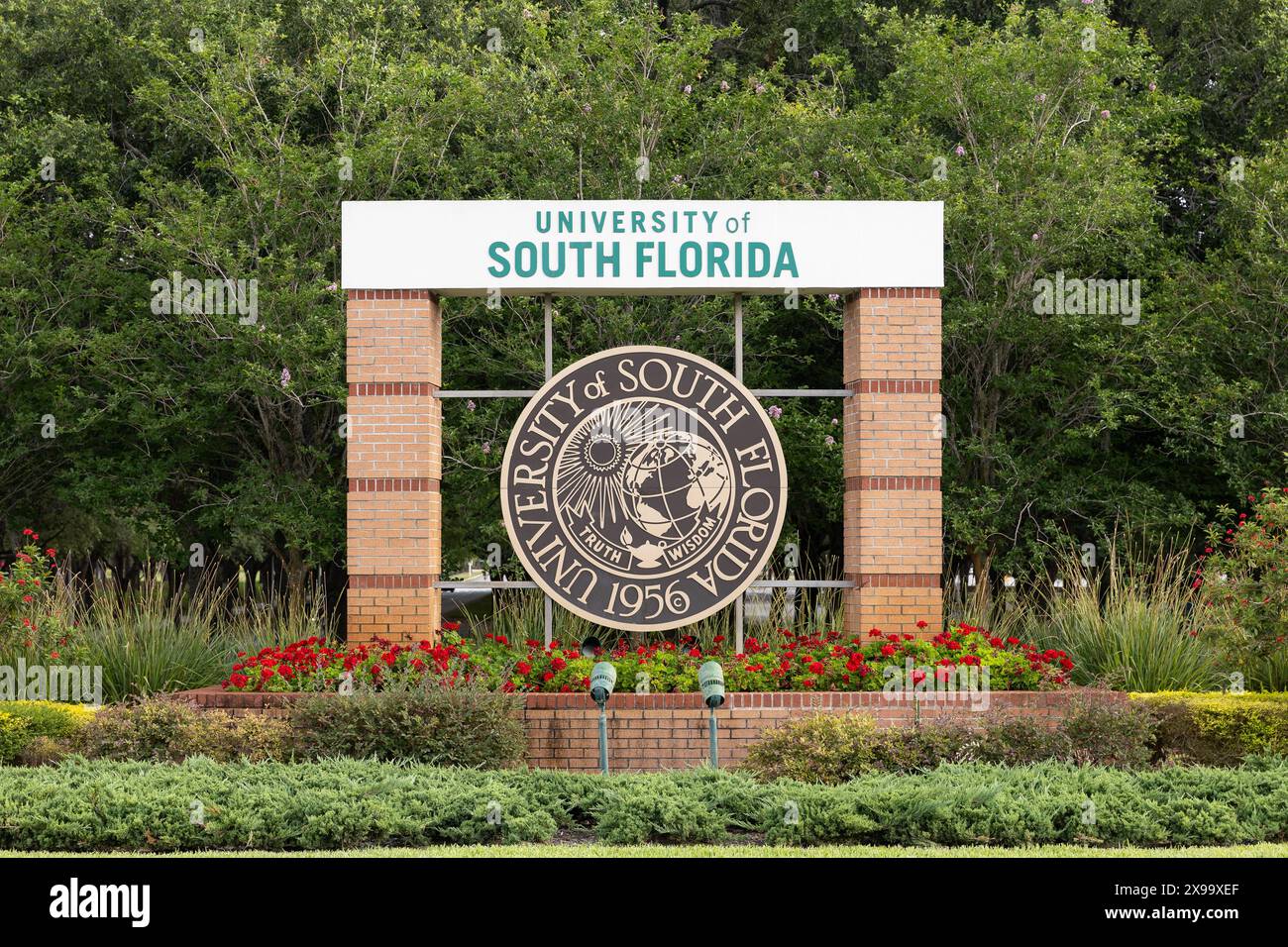 The University of South Florida is a public research university with ...