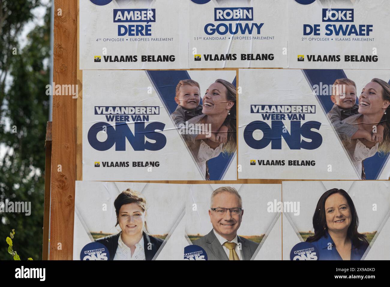 AALST, BELGIUM, 30 MAY 2024: Political posters for the extreme right ...