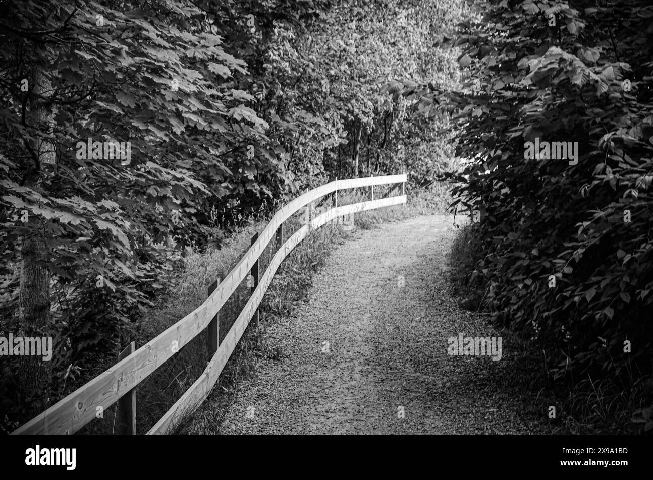 Landscape photo footpath in Black and White Stock Photos & Images - Alamy