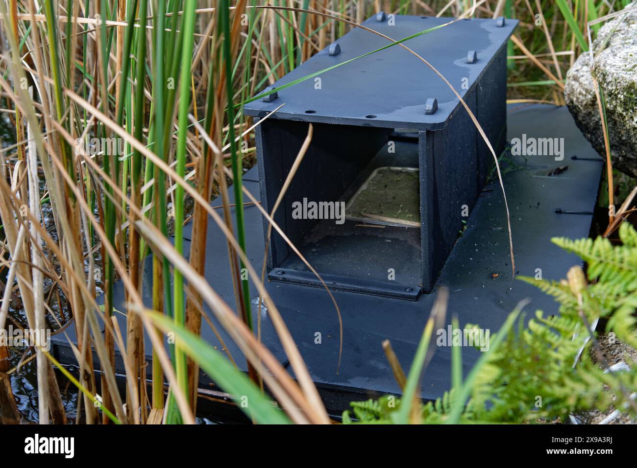 Floating raft in a lake margin with a clay footprint trap to record ...