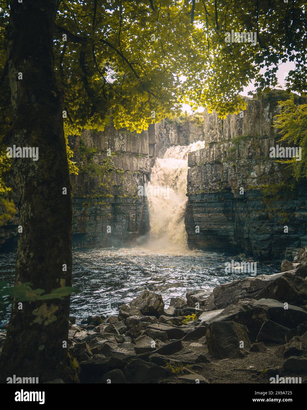High Force Waterfall, Durham Stock Photo - Alamy