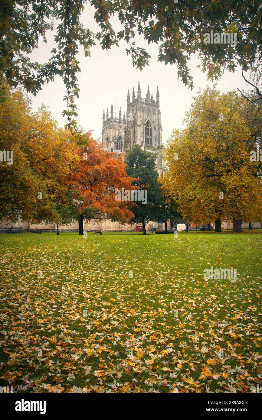 York Minster and Deans Park under a canopy of trees, York Stock Photo ...