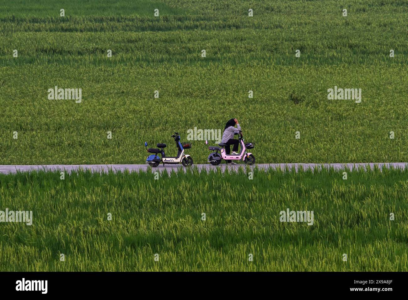 Kulon Progo, Yogyakarta, Indonesia. 30th May, 2024. A woman rides an ...