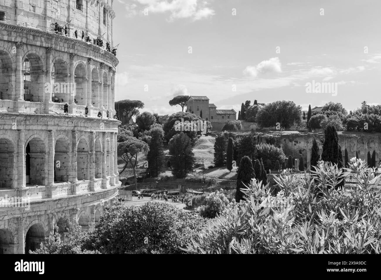 View of the Colosseum in Rome with Palatine hill. Firemen climbing on ...