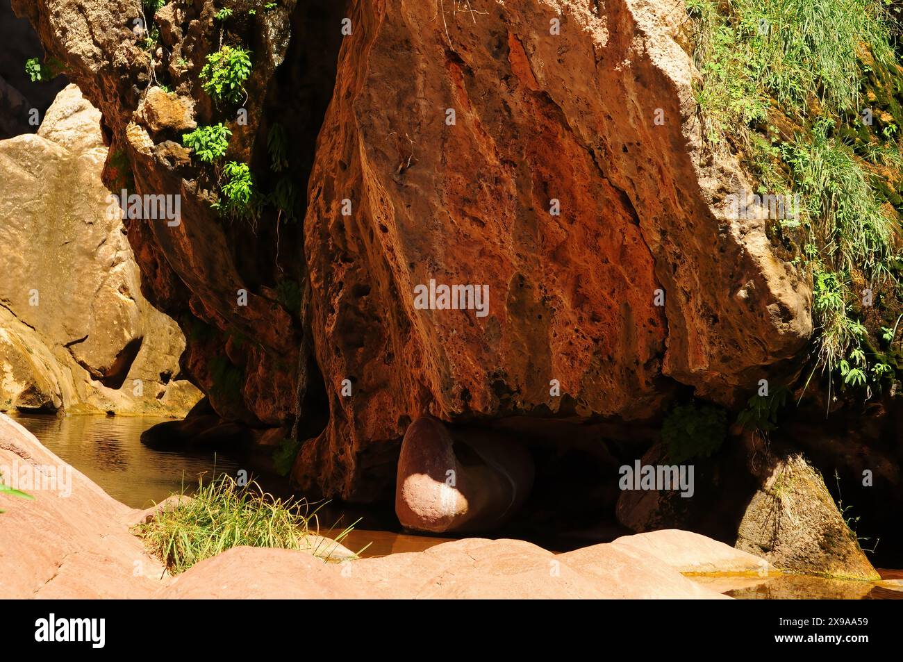 Tonto National Forest near Payson Arizona Stock Photo - Alamy