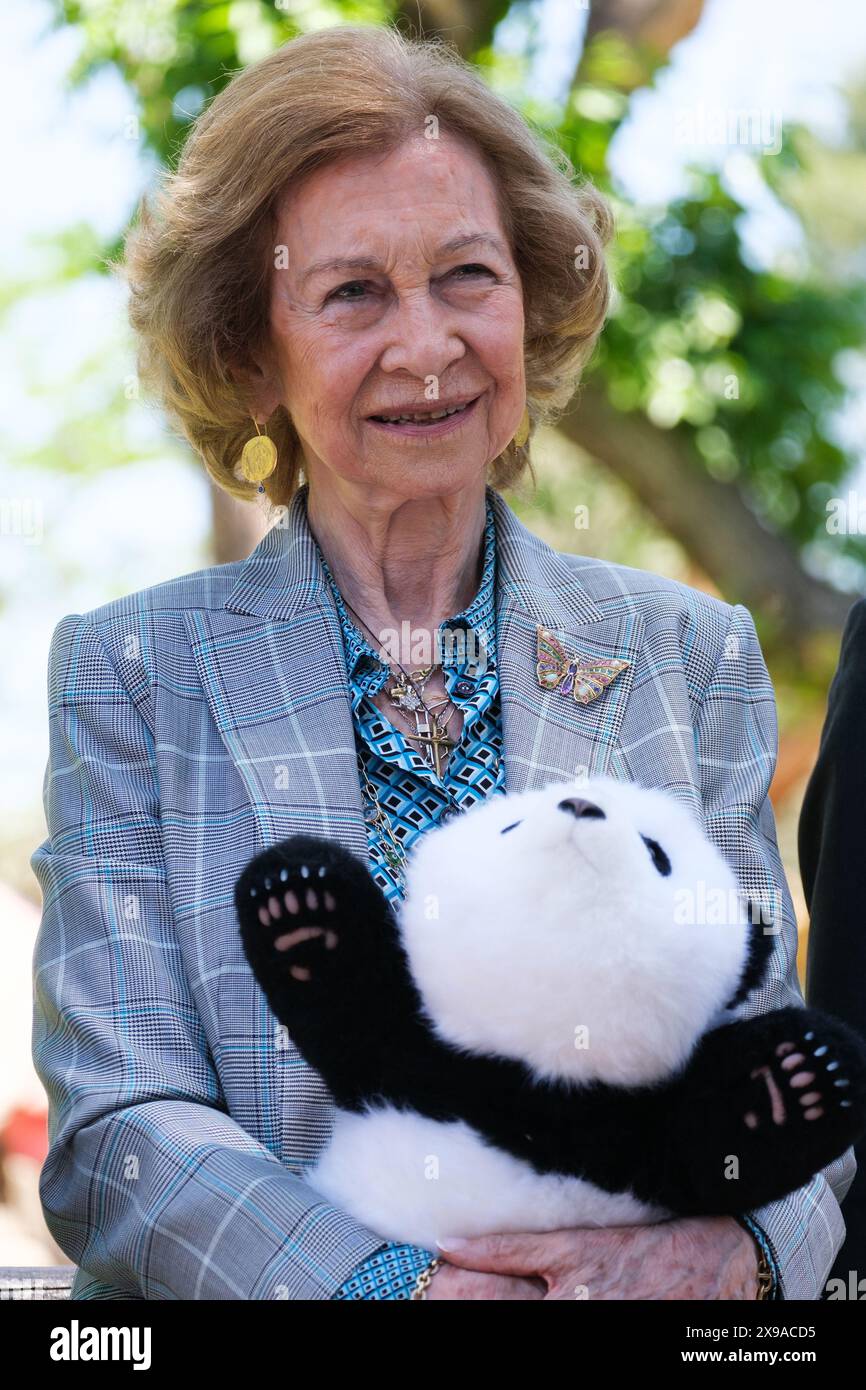 Queen Sofia of Spain presides over the presentation ceremony of the two ...