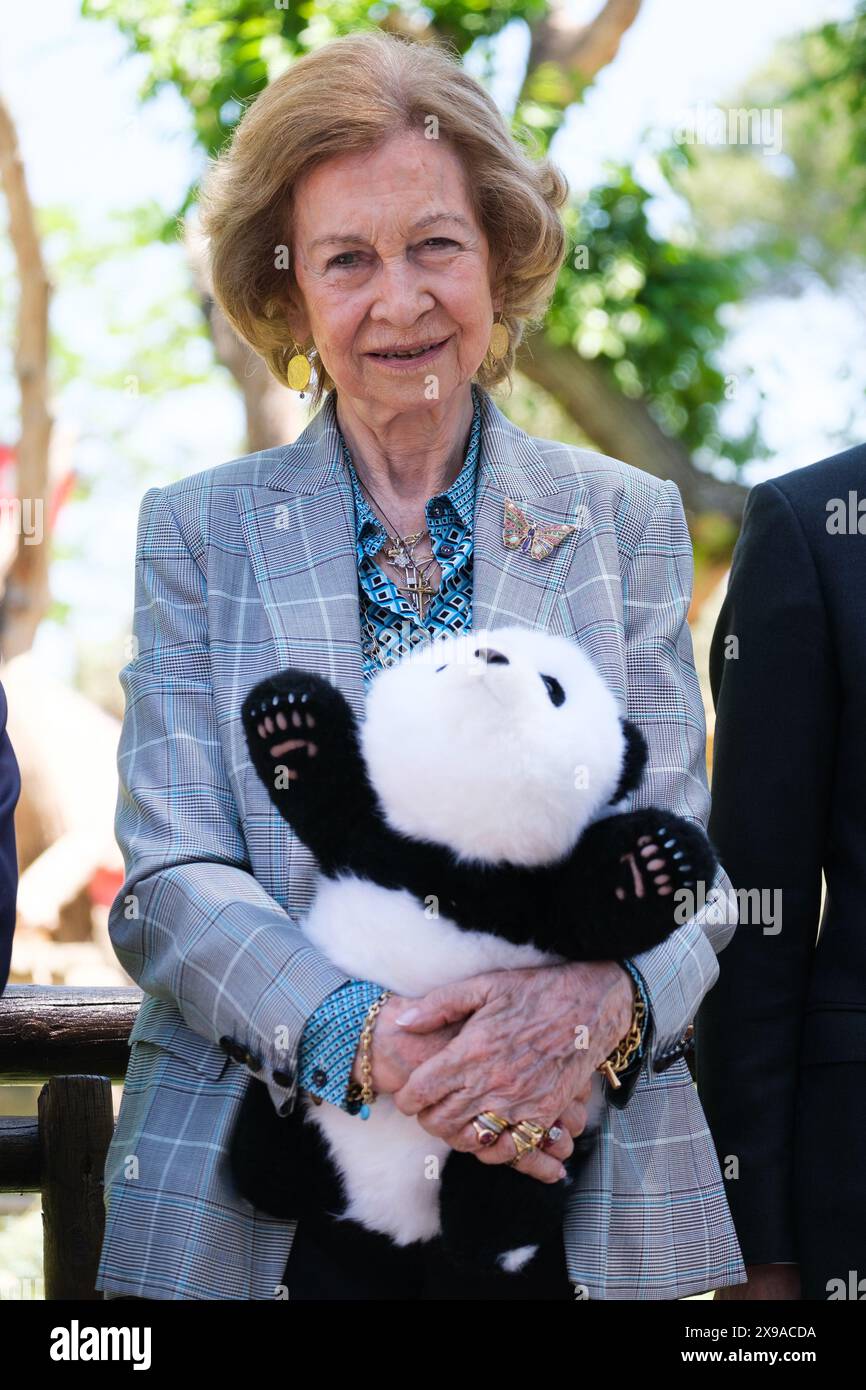 Queen Sofia of Spain presides over the presentation ceremony of the two ...