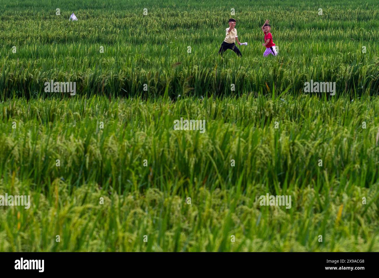 Kulon Progo, Yogyakarta, Indonesia. 30th May, 2024. Children play in ...