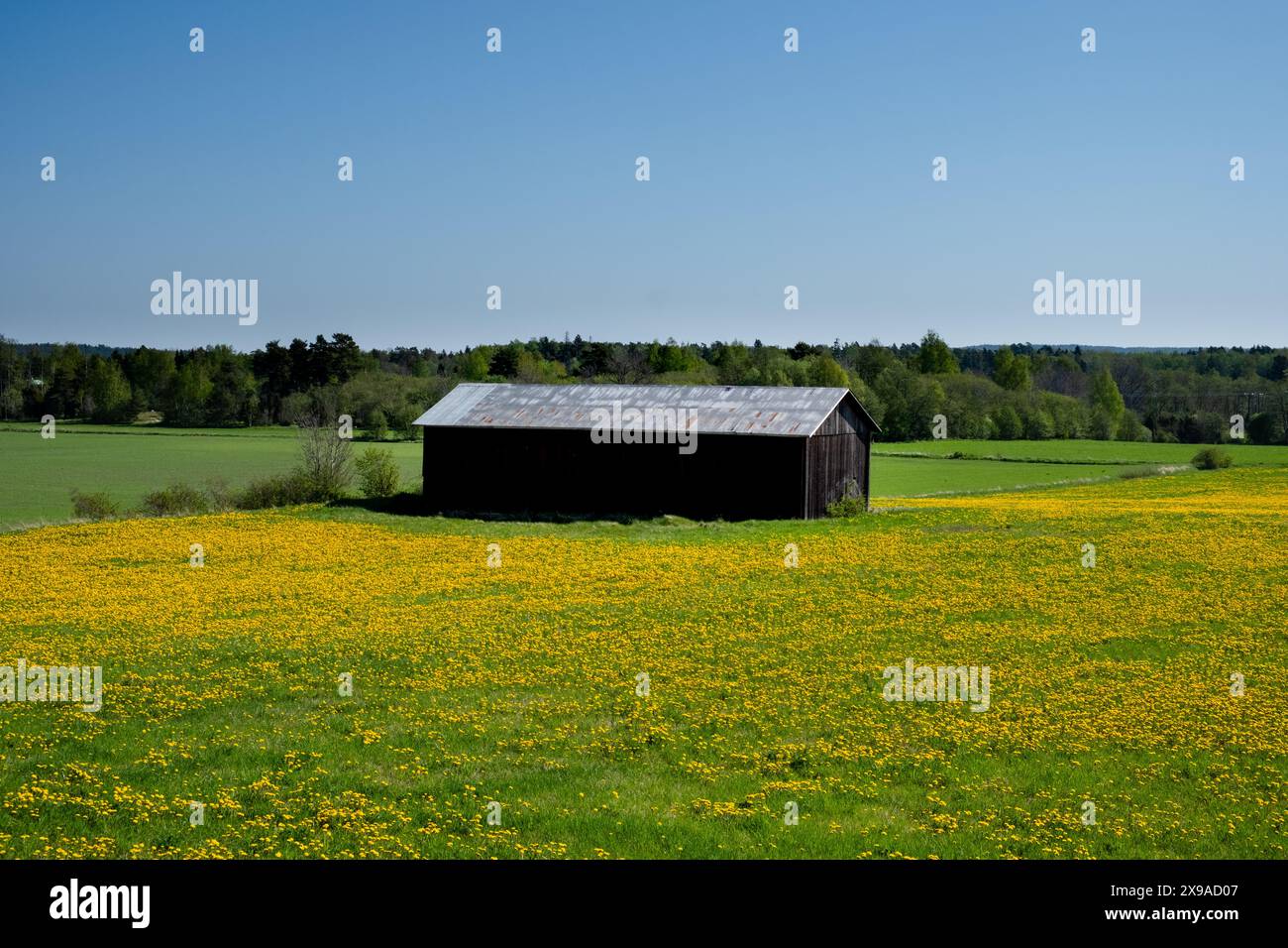 Barn and treescape hi-res stock photography and images - Alamy