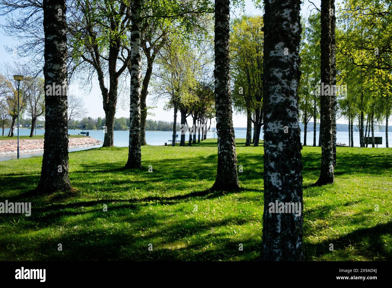 FOREST, LEMALND CANAL, ÅLAND: Trees line the banks of the Lemström ...