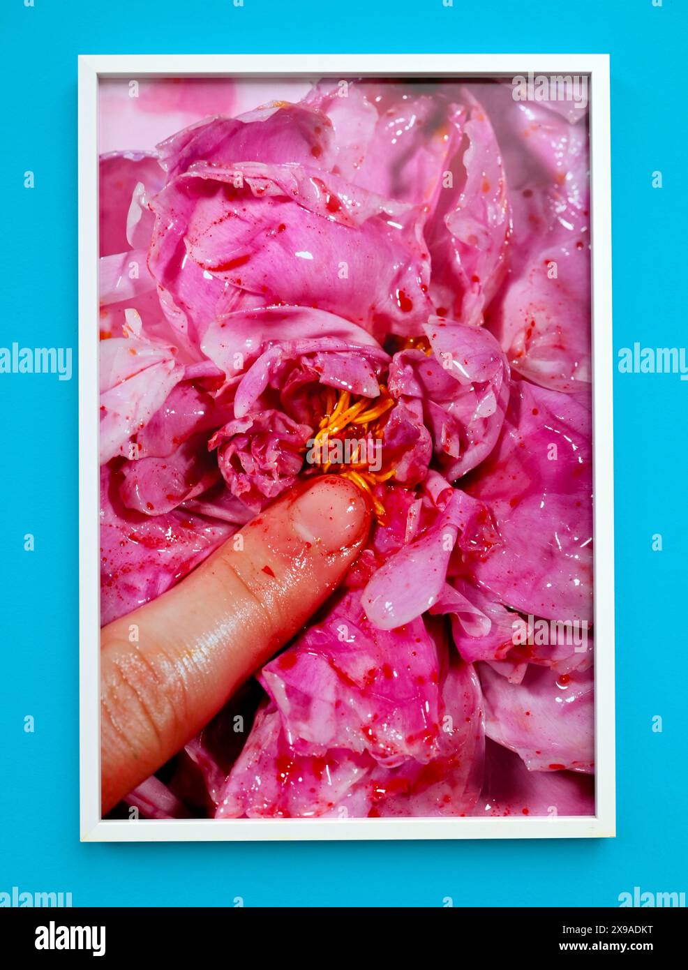 Lookable legs hi-res stock photography and images - Alamy