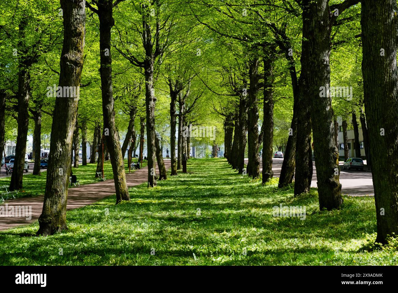 Green seaon hi-res stock photography and images - Alamy