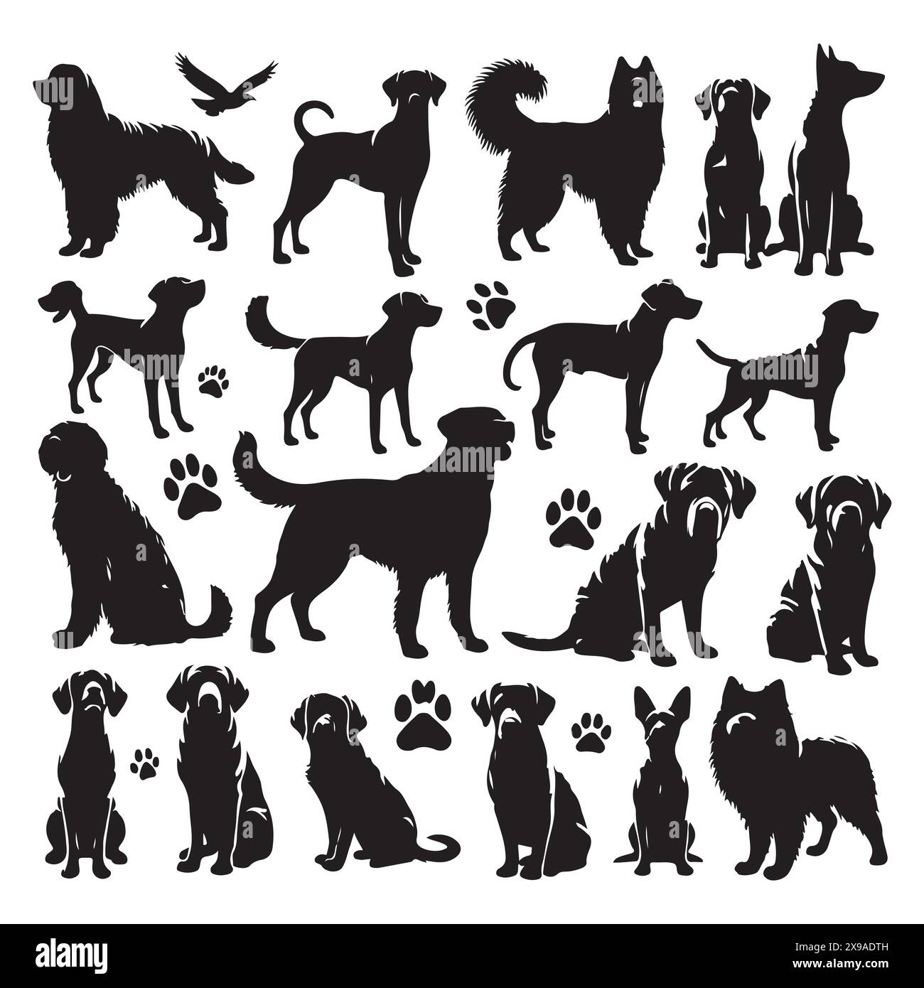 Silhouette set of dogs. Vector isolated illustration Stock Vector Image ...