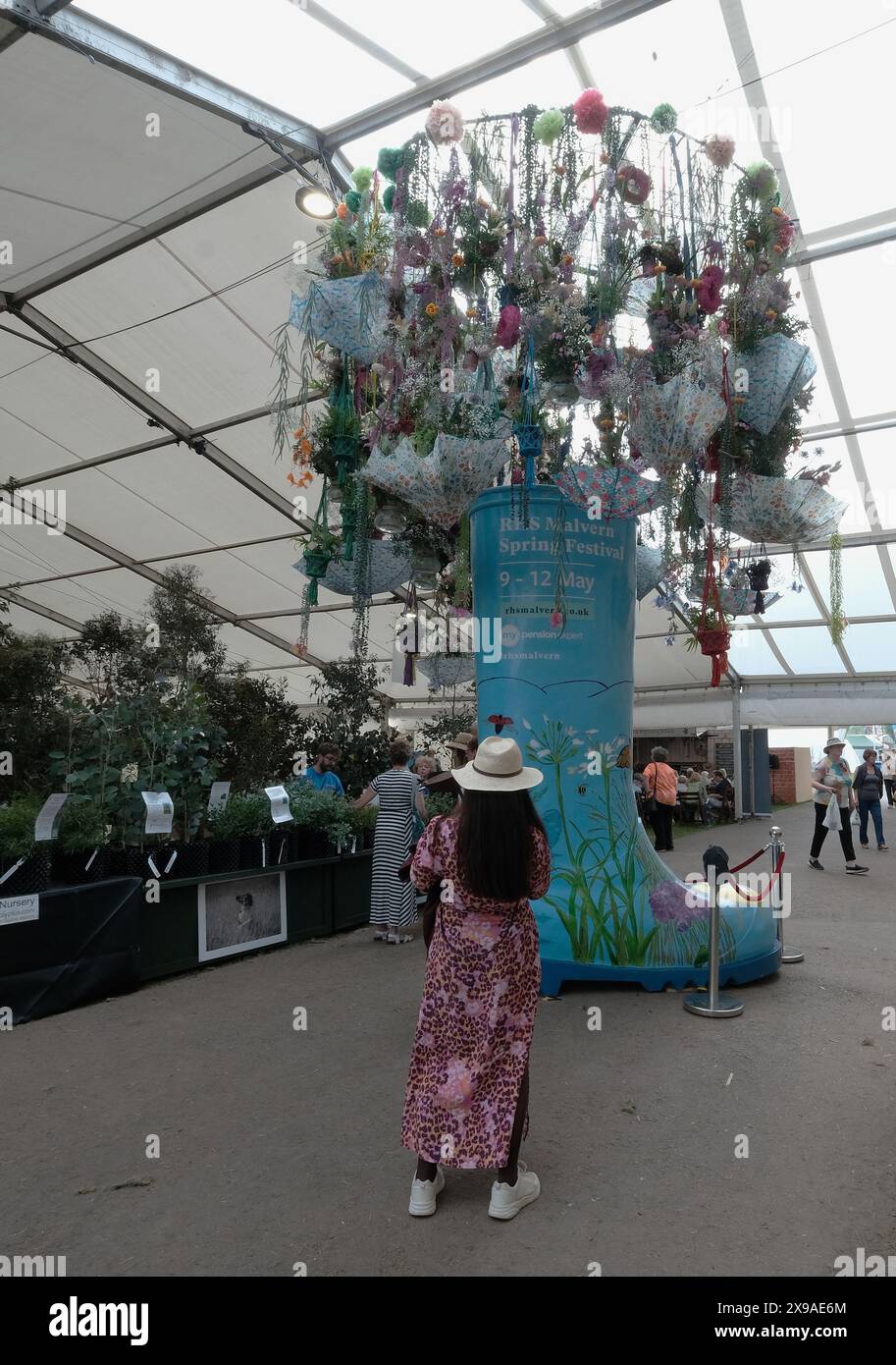 visitor in front of RHS floral display at the annual Malvern Spring ...