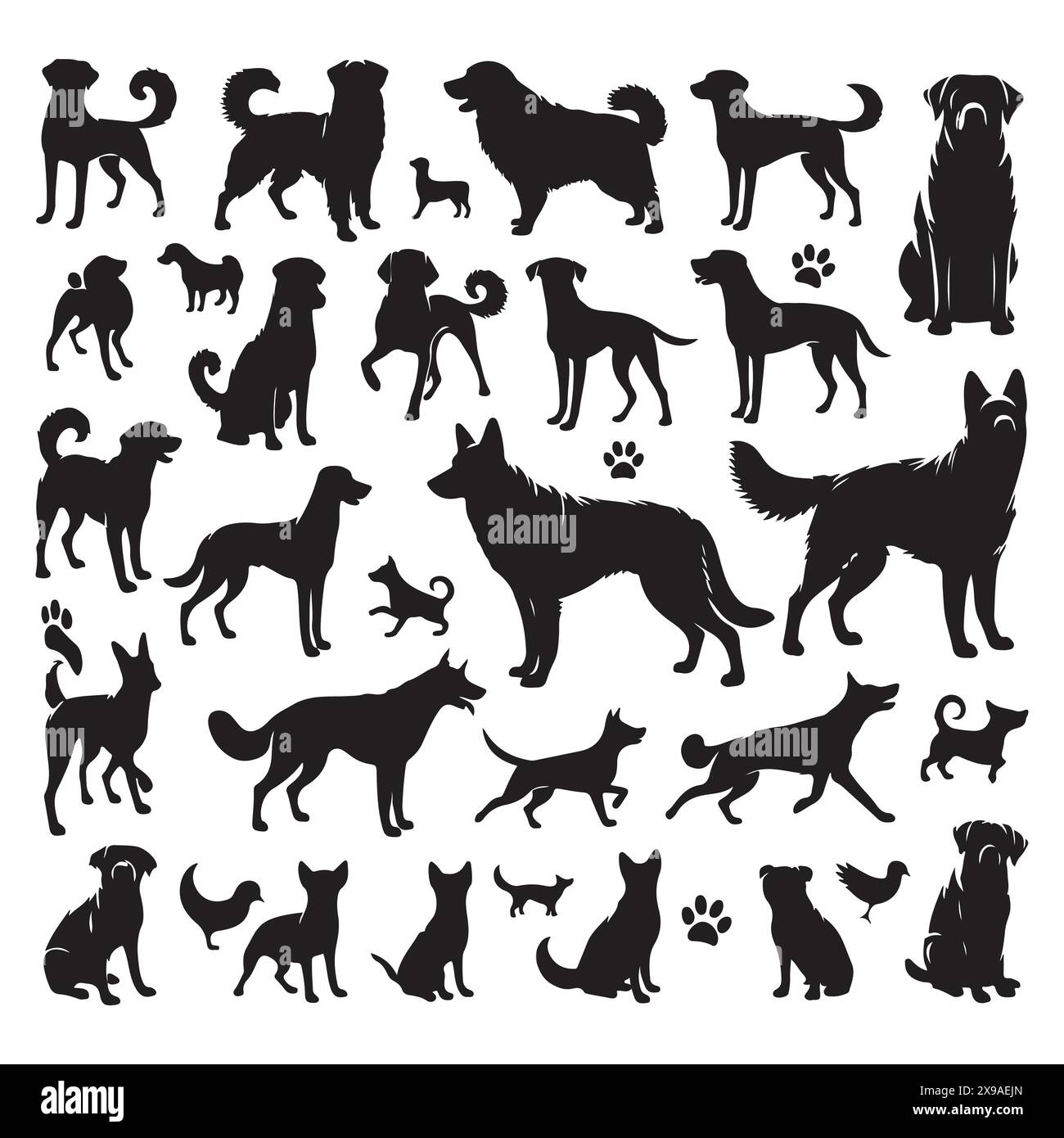 Silhouette set of dogs. Vector isolated illustration Stock Vector Image ...