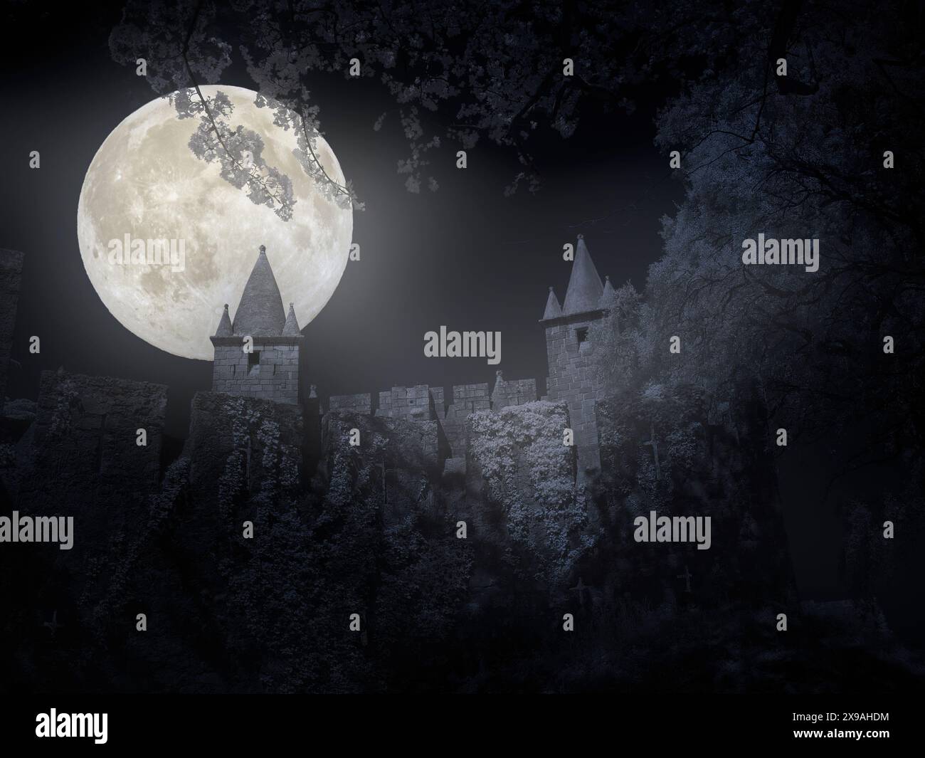 European medieval castle in a full moon night Stock Photo - Alamy