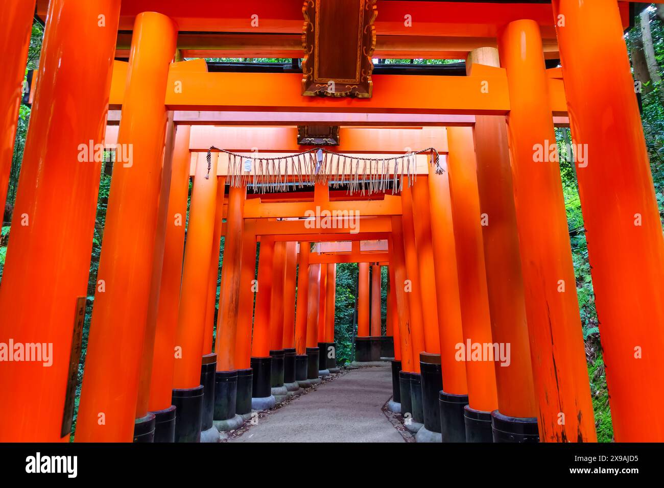 Fushimi Inari shrine temple with its red gates and sacred buildings in ...