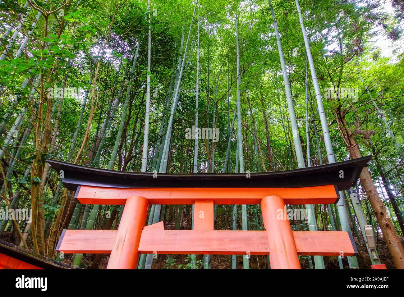 Fushimi Inari shrine temple with its red gates and sacred buildings in ...