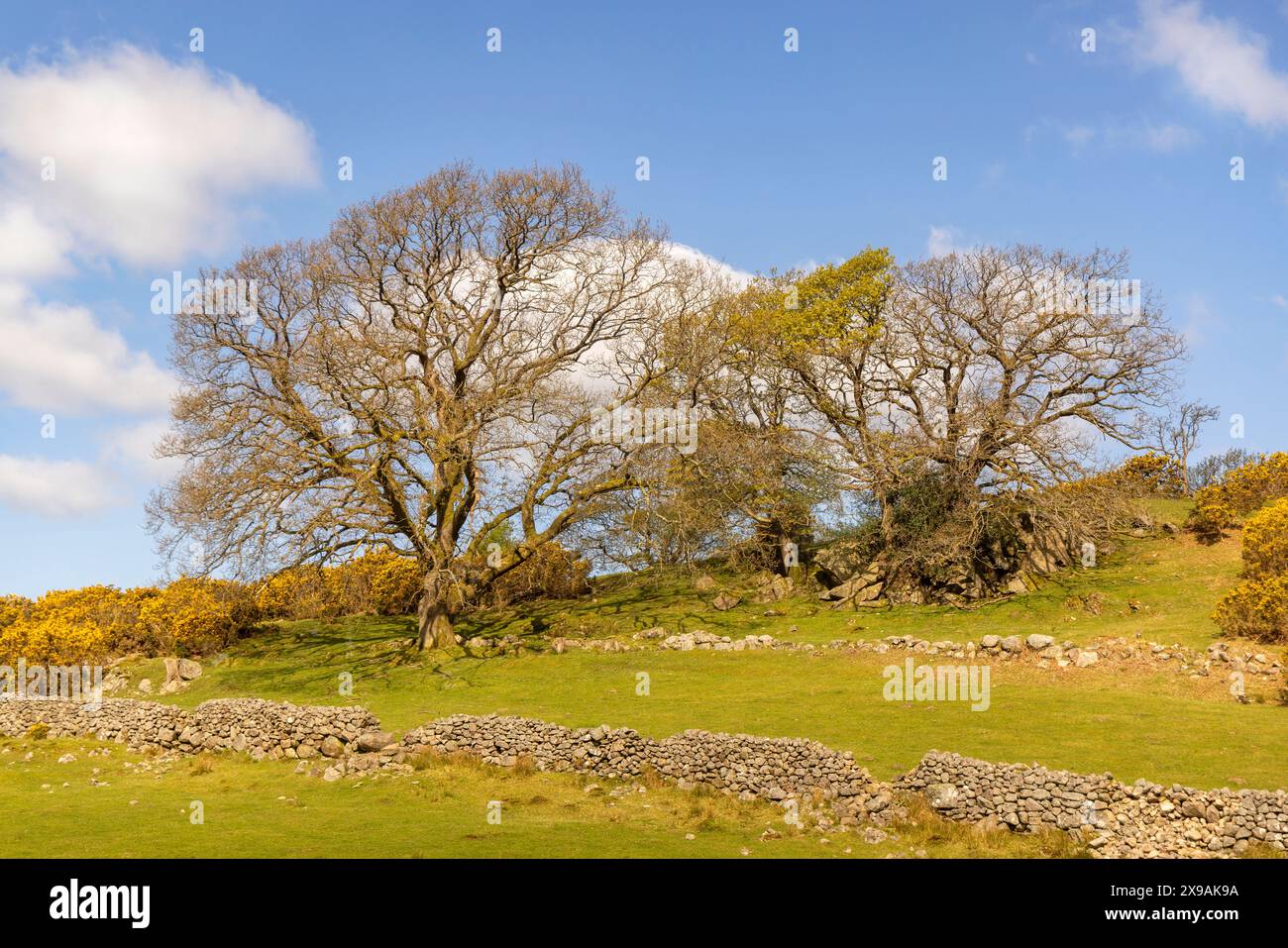 Landscape beauty of the Eskdale valley viewed from the Ravenglass and ...