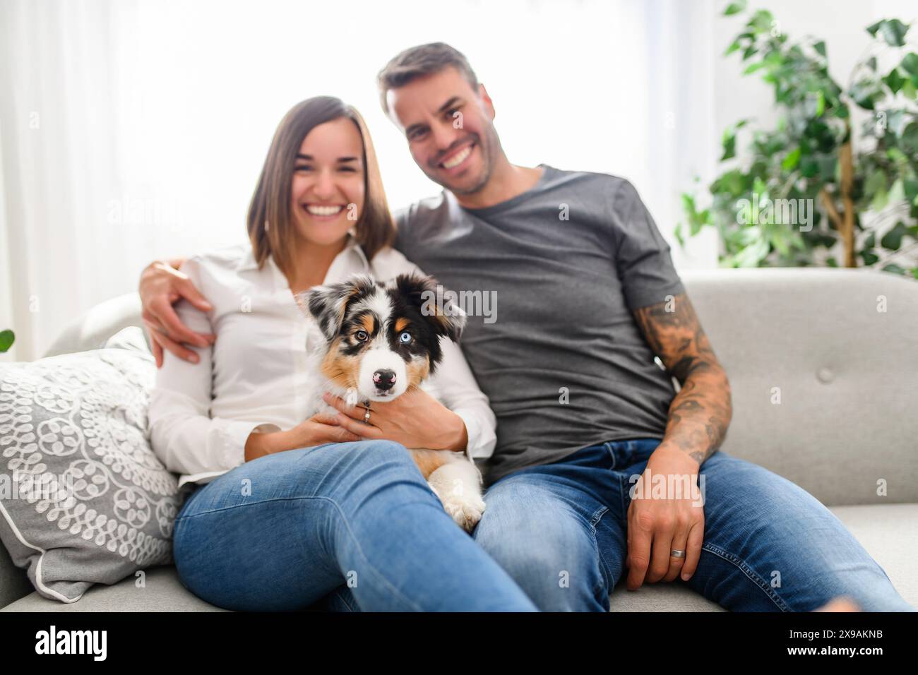 Handsome couple with her Australian Berger puppy on sofa Stock Photo ...