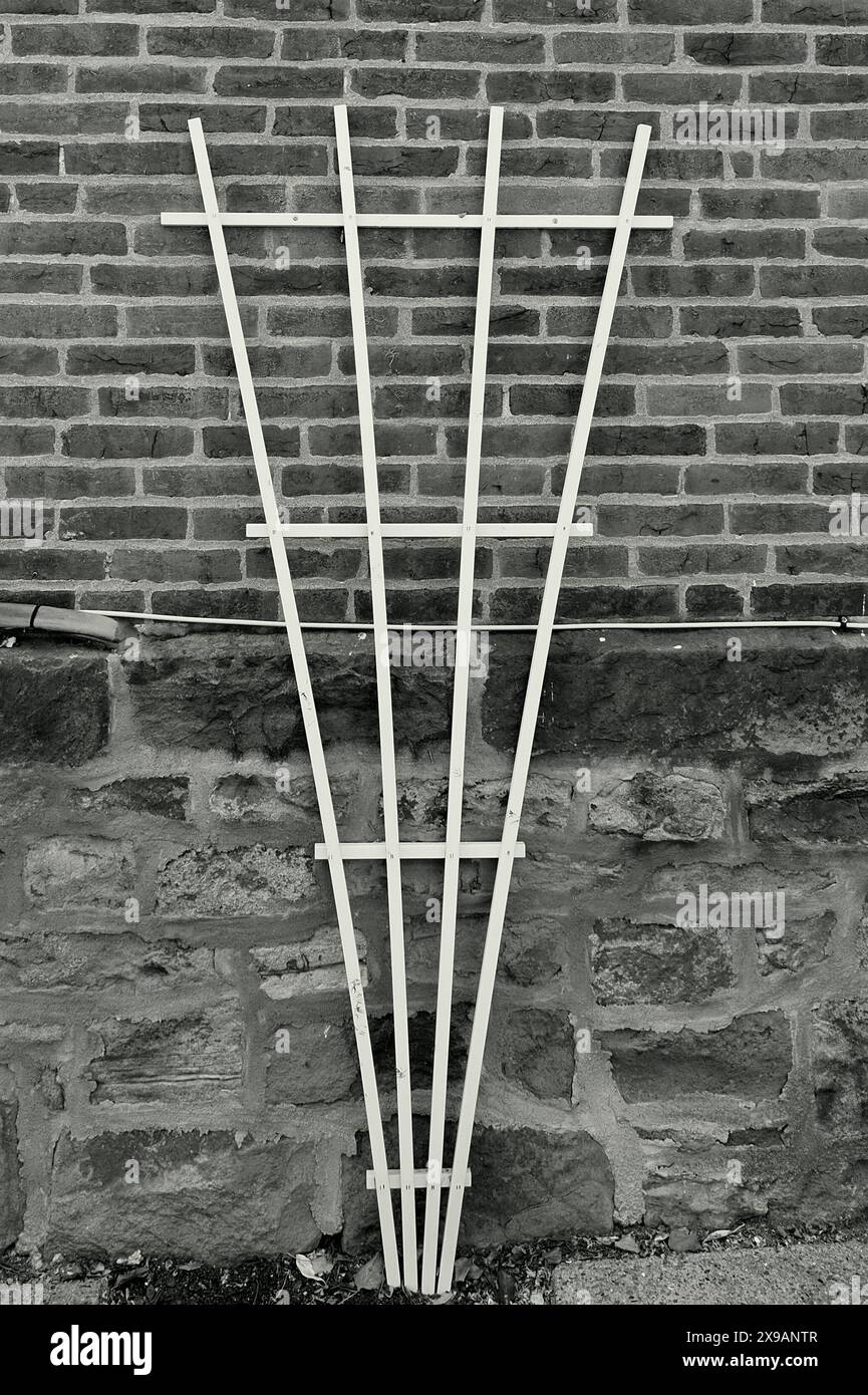The trellis is by the brick wall Stock Photo - Alamy