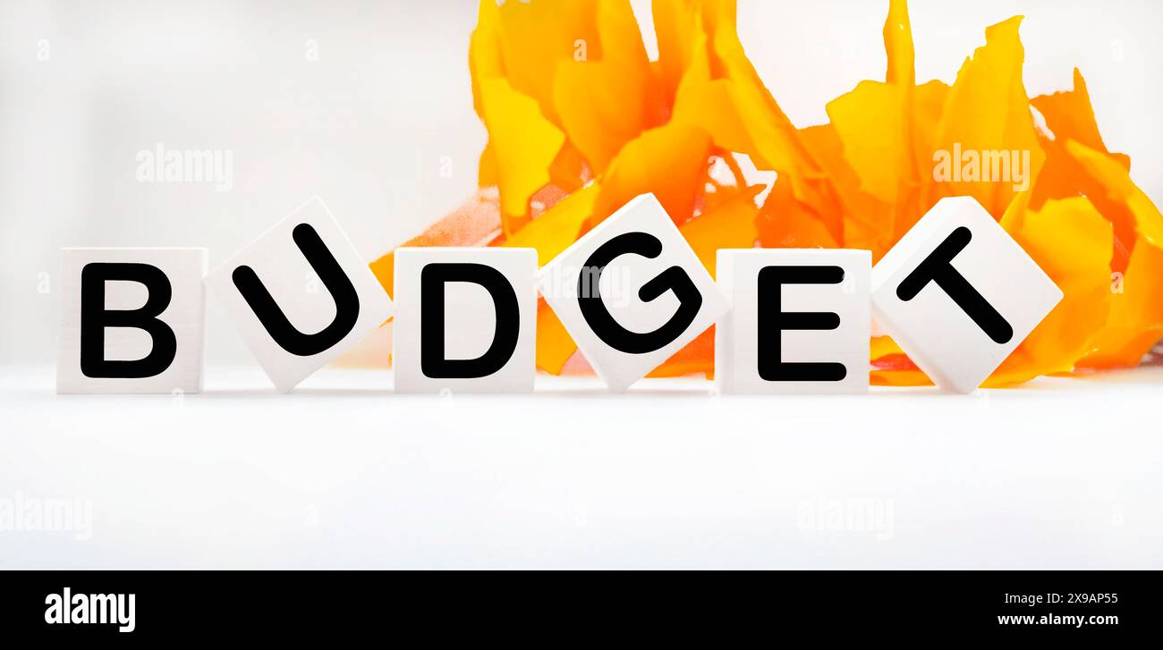 Budget symbol. Concept of the word Budget on wooden cubes. Beautiful ...
