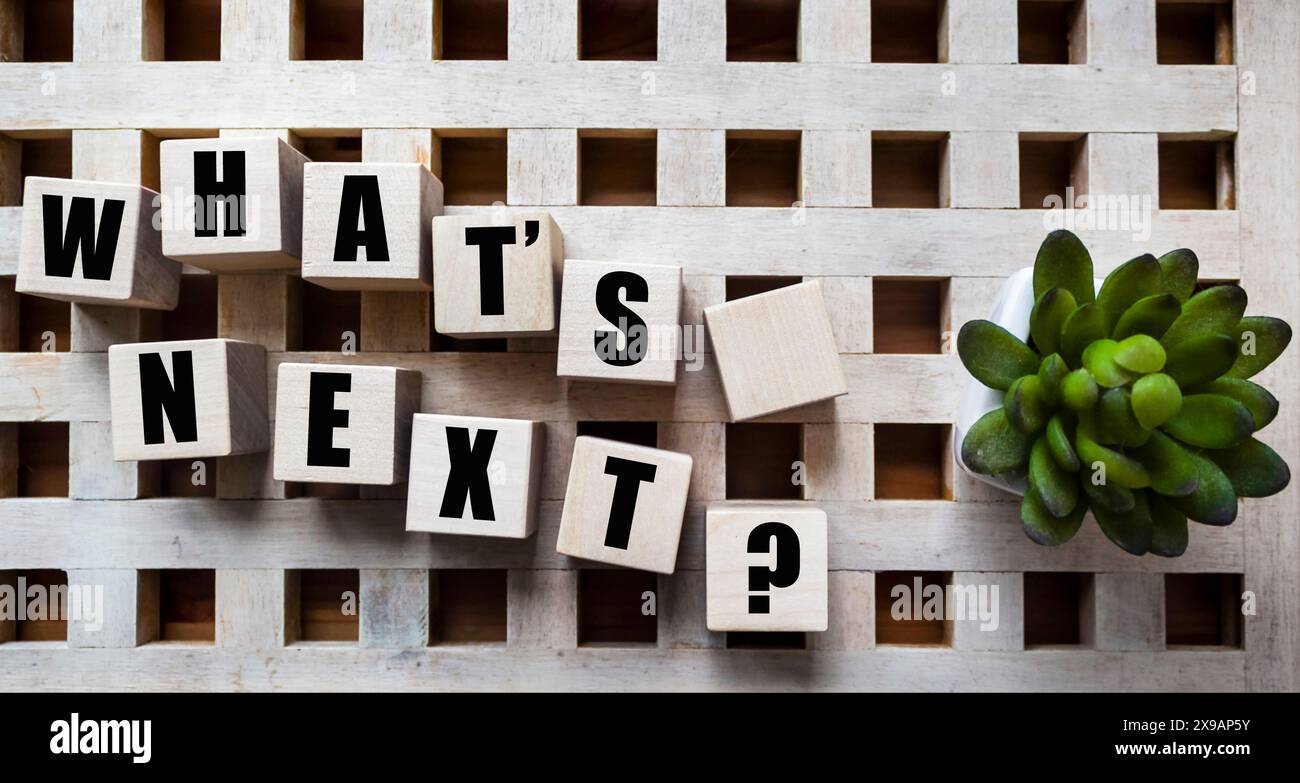 WHAT'S NEXT text on wooden block on beautiful background, business ...