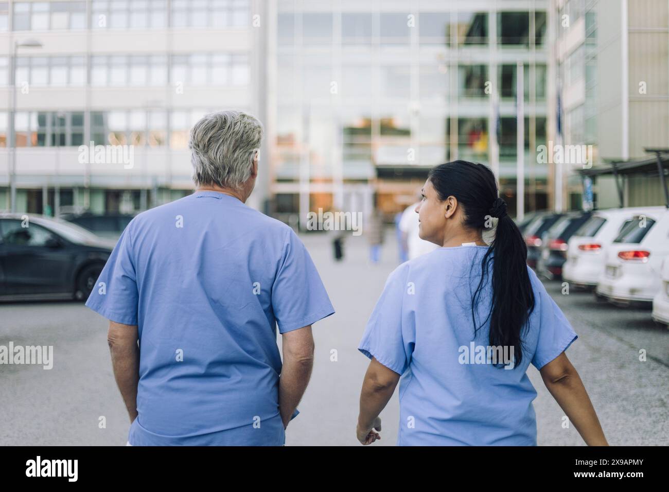Rear view of male and female doctors walking towards hospital building ...