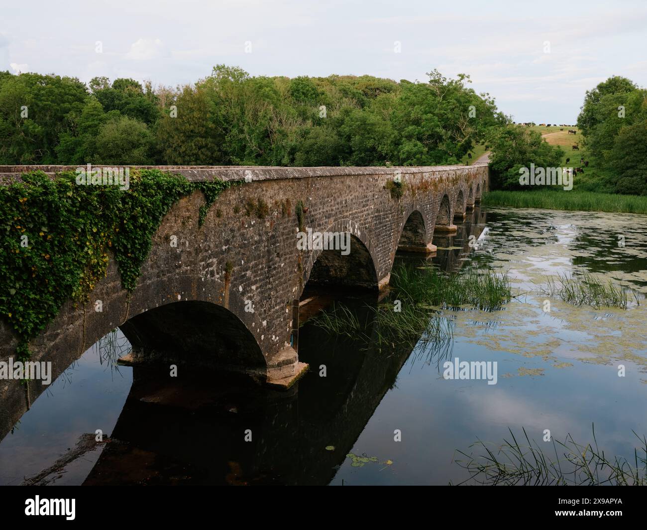 The summer evening lake and Eight Arch Bridge landscape of Stackpole ...