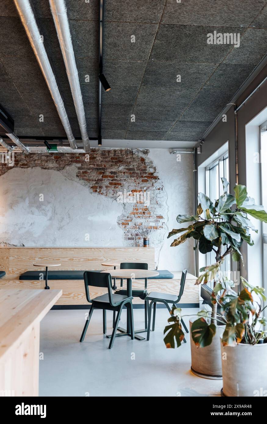 Interior of coworking space with plants and furniture Stock Photo - Alamy