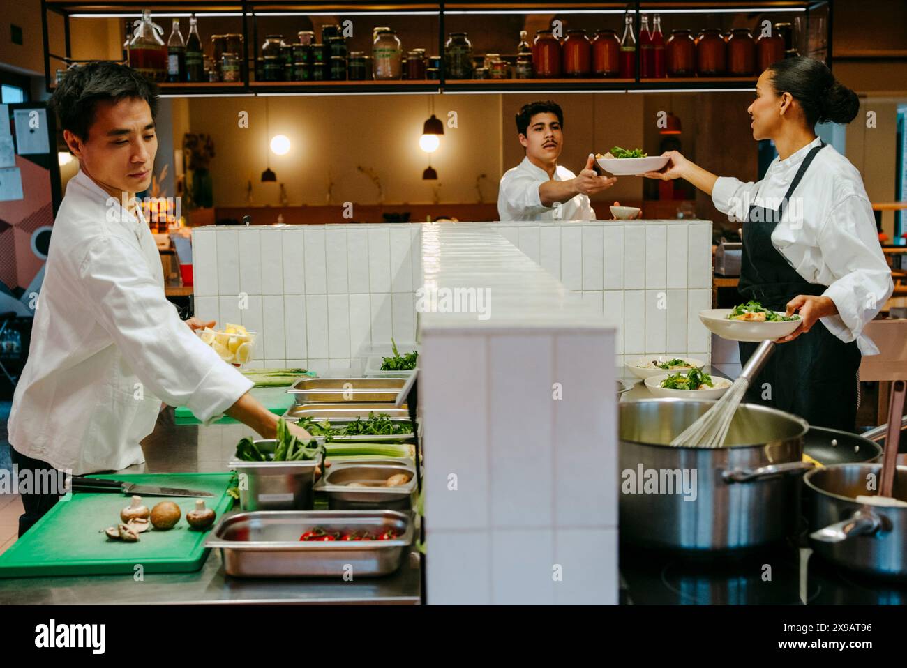 Multiracial female and male chef working together in commercial kitchen ...