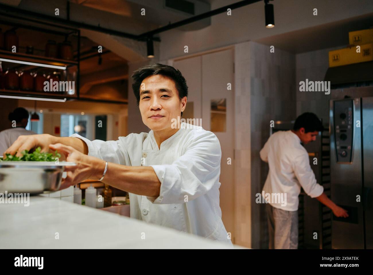 Portrait of male chef working with colleagues in commercial kitchen ...