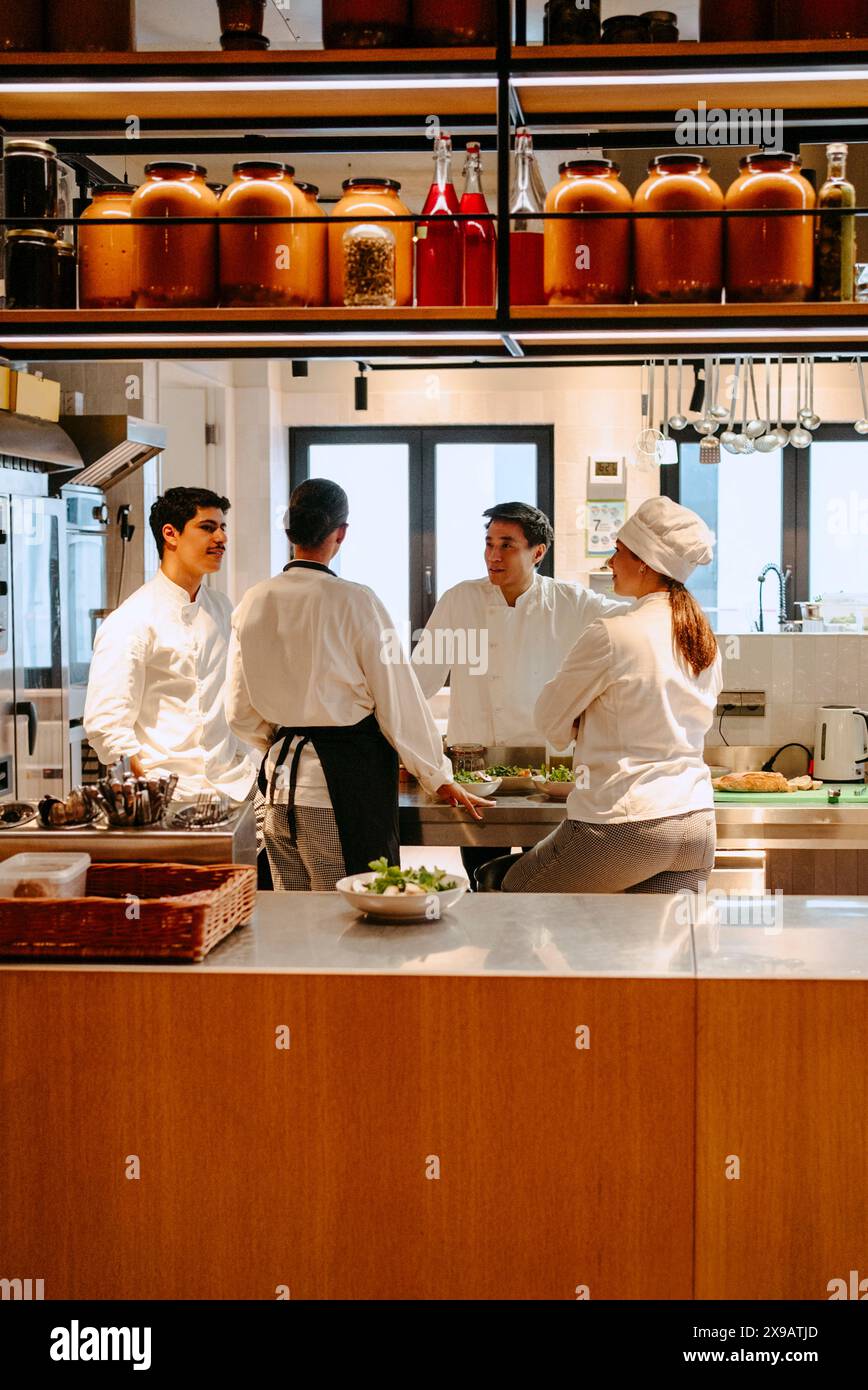 Female and male chefs briefing while standing in commercial kitchen ...