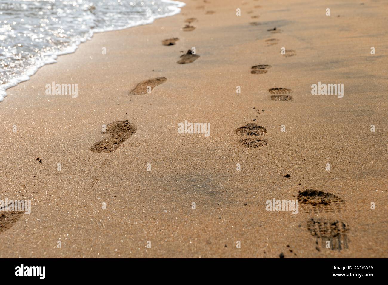A tranquil scene unfolds as a sequence of distinct footprints etch a ...