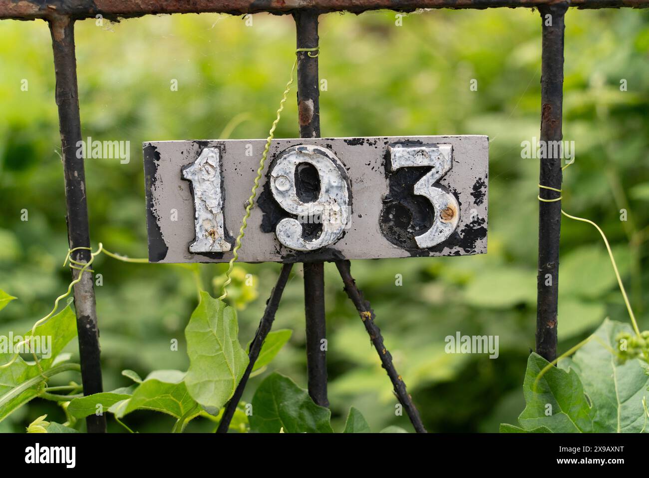 Meaning, Number 193, numerology, quirks, character, traits, energies ...