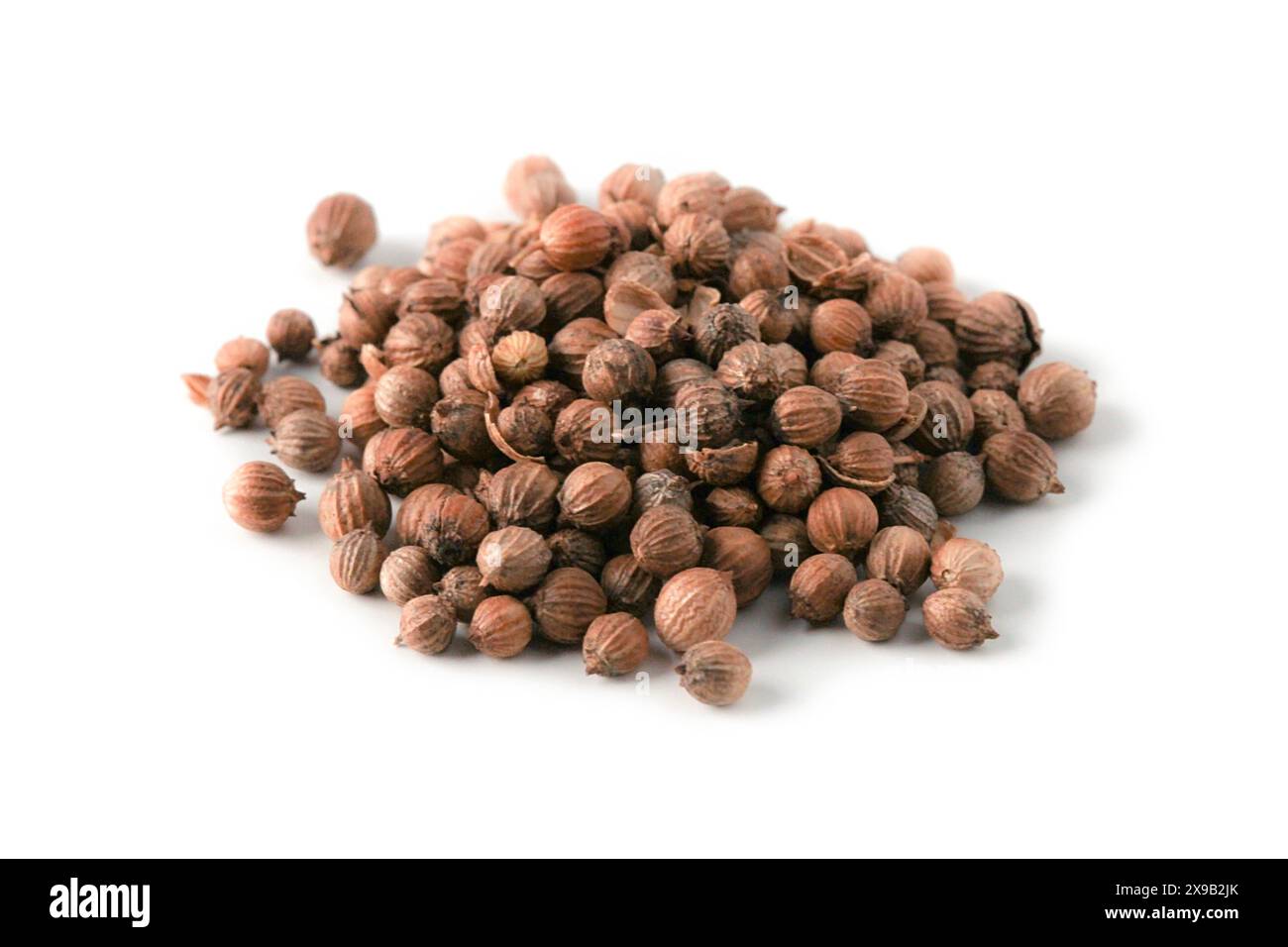 Pile coriander seeds coriandrum Cut Out Stock Images & Pictures - Alamy