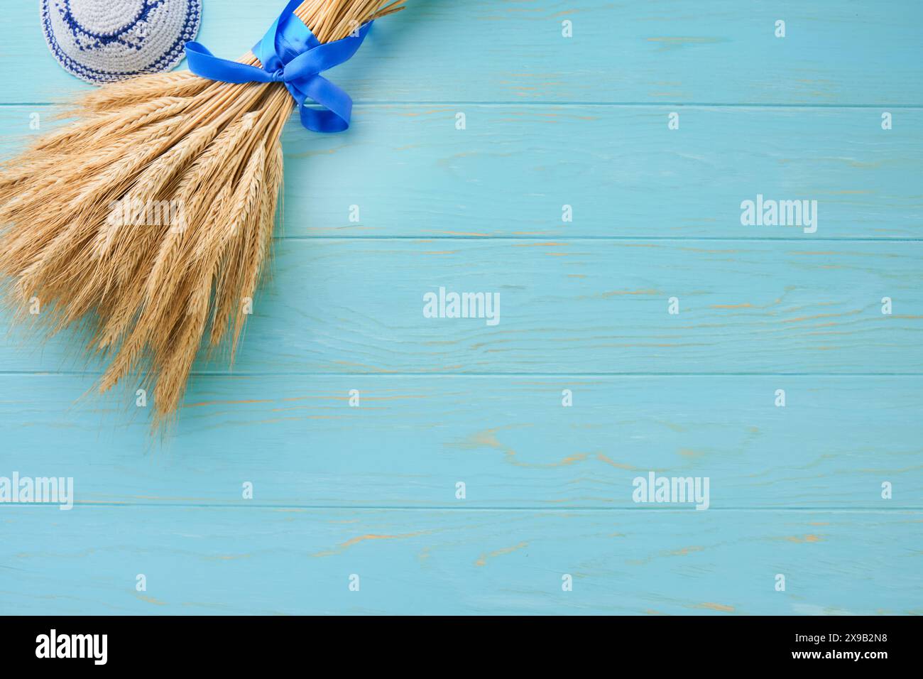 Shavuot jewish background. Ripe bouquet of wheat with blue ribbon with ...