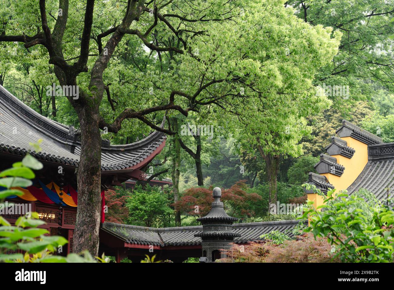 Yongfu Temple and green forest in Hangzhou, China Stock Photo - Alamy