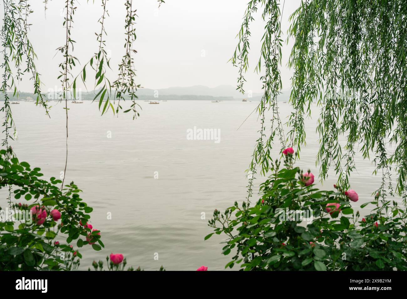 Spring of West Lake in Hangzhou, China Stock Photo - Alamy