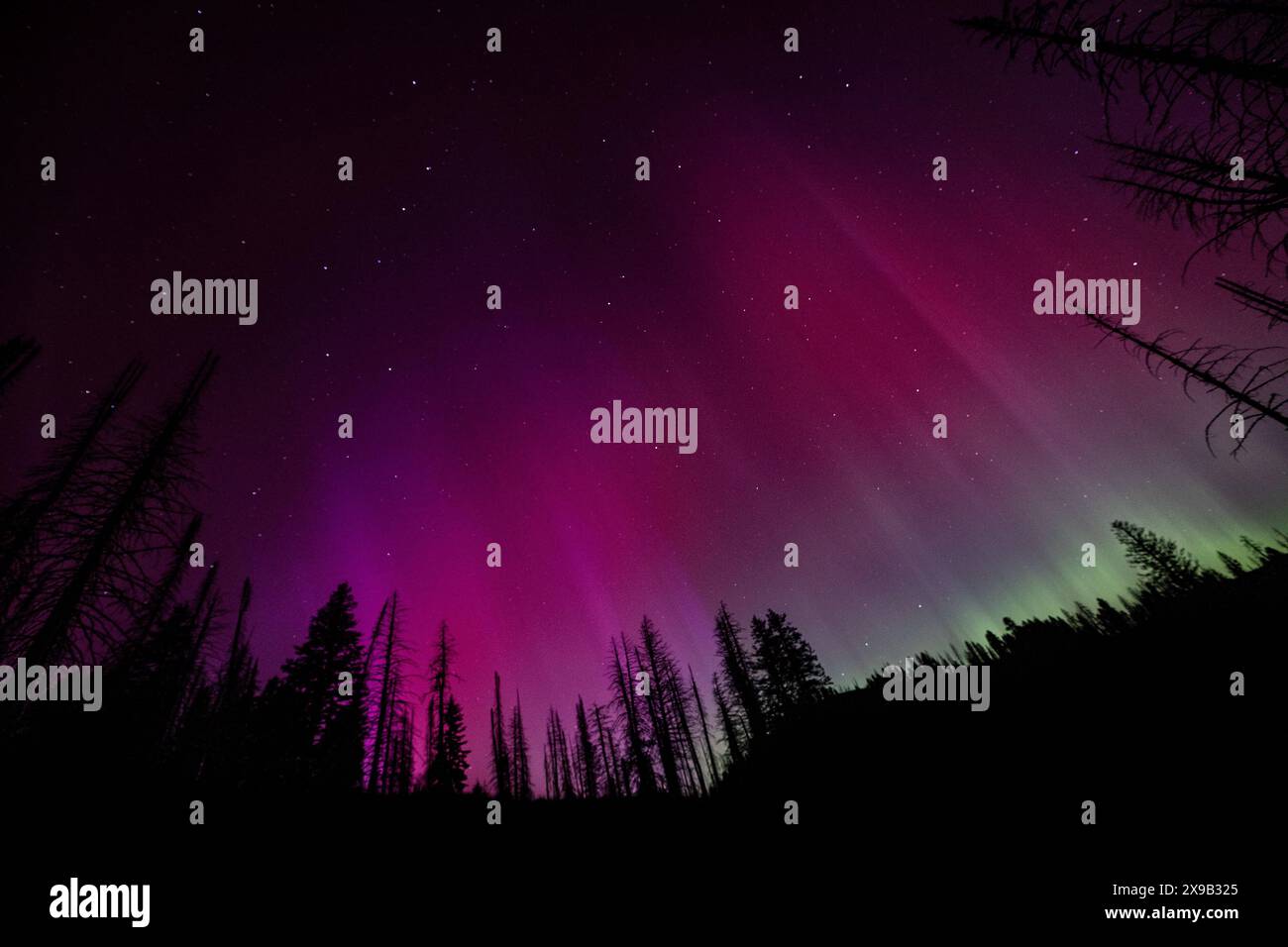 Aurora borealis over south hi-res stock photography and images - Alamy