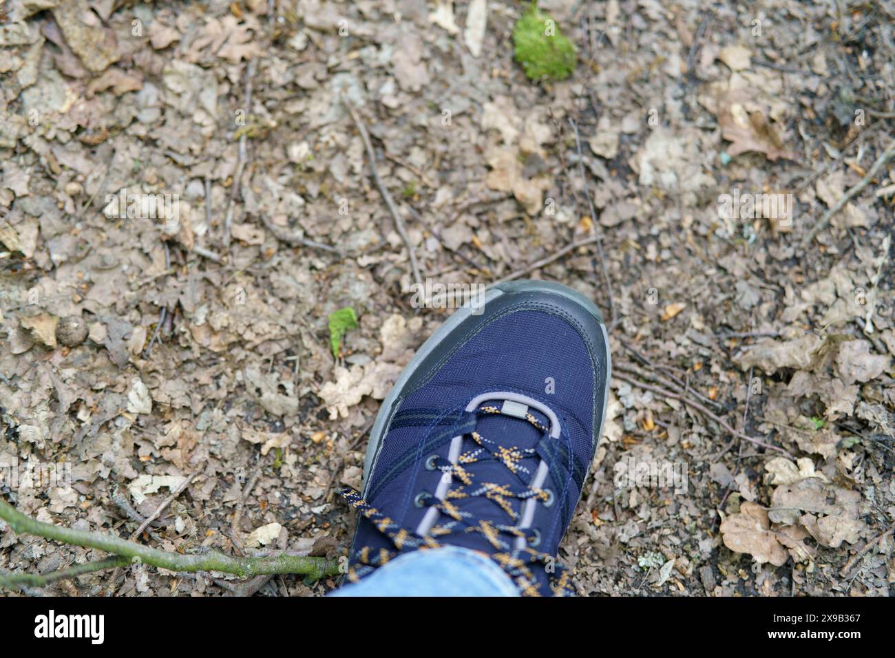 Boots for traveling in the forest in the mud, top view Stock Photo - Alamy