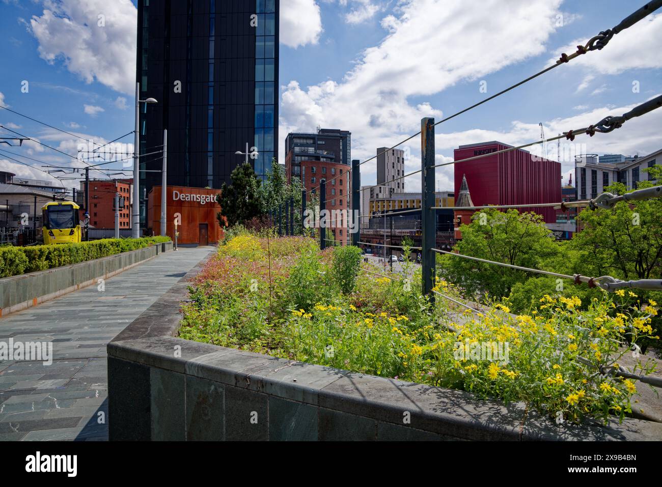 Spring flowers at Deansgate Castlefield Tram Station Stock Photo - Alamy